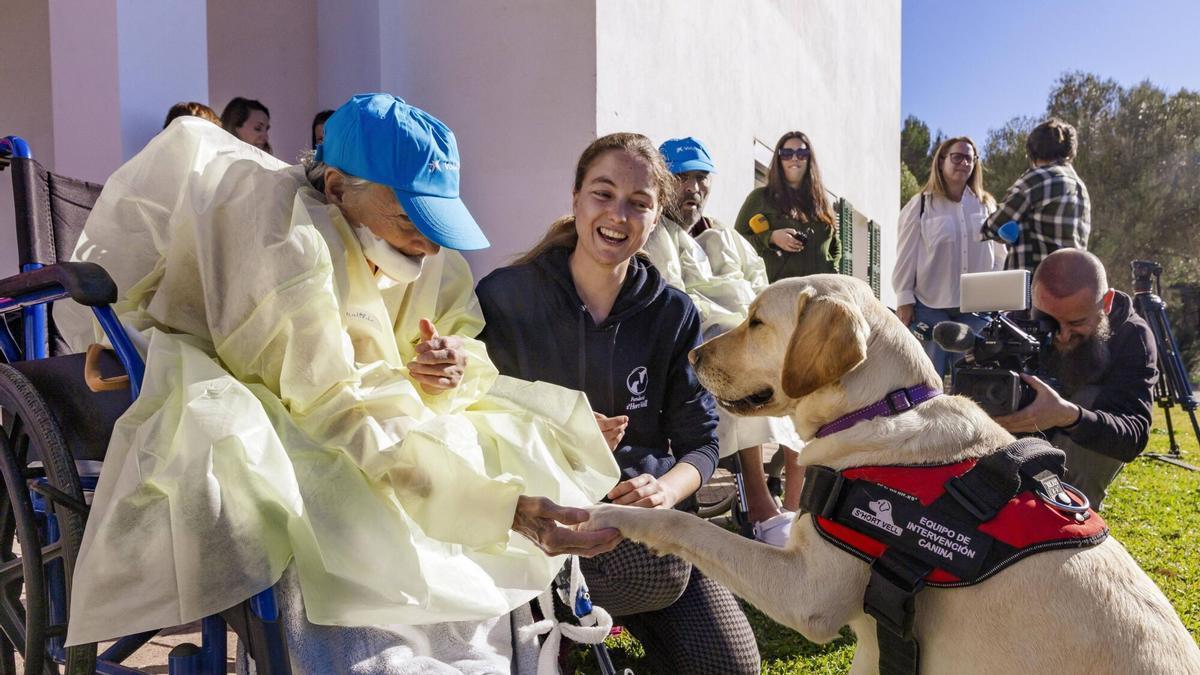 PERROS TERAPÉUTICOS EN PALMA INTERVENCIÓN ANIMALES | Los perros ...