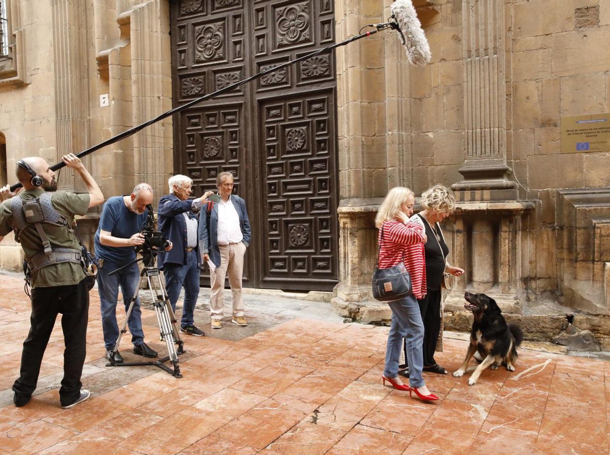 PERRO RUFO PELÍCULA | Alfombra roja para "Rufo" en Oviedo: regresa el ...