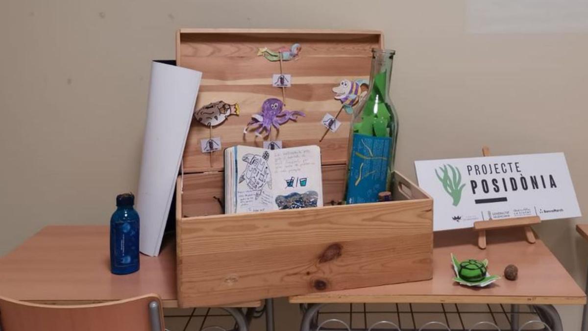 Professorat de la Marina Alta se forma amb el ‘Projecte Posidònia ...