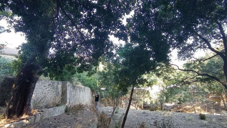 Ròtova invertix 50.000 per a recuperar el pati nord del Palau dels Comtes