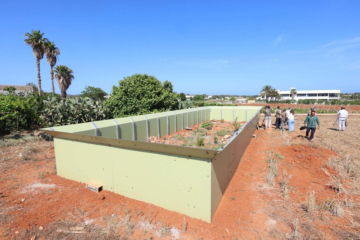 SNAKES IN IBIZA: “Snake-proof bunker” created to protect the Ibiza wall ...