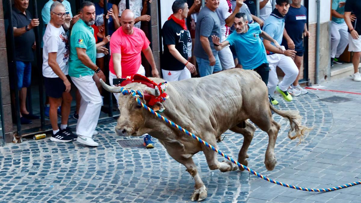 Torico de la cuerda de Chiva: se celebra el torico de la cuerda de Chiva de 2024 tras el ...