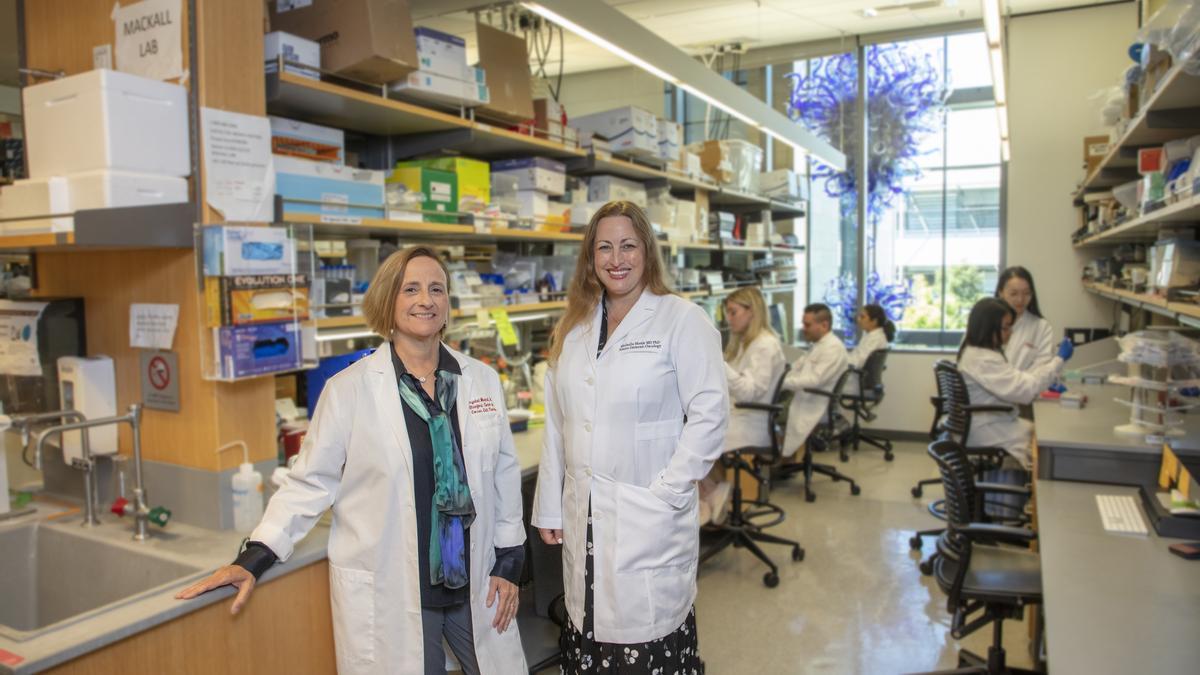 Una terapia CART-T consigue eliminar el tumor cerebral incurable de un ... Una terapia CART-T consigue eliminar el tumor cerebral incurable de un ...
