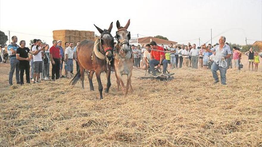 Reviviendo la trilla