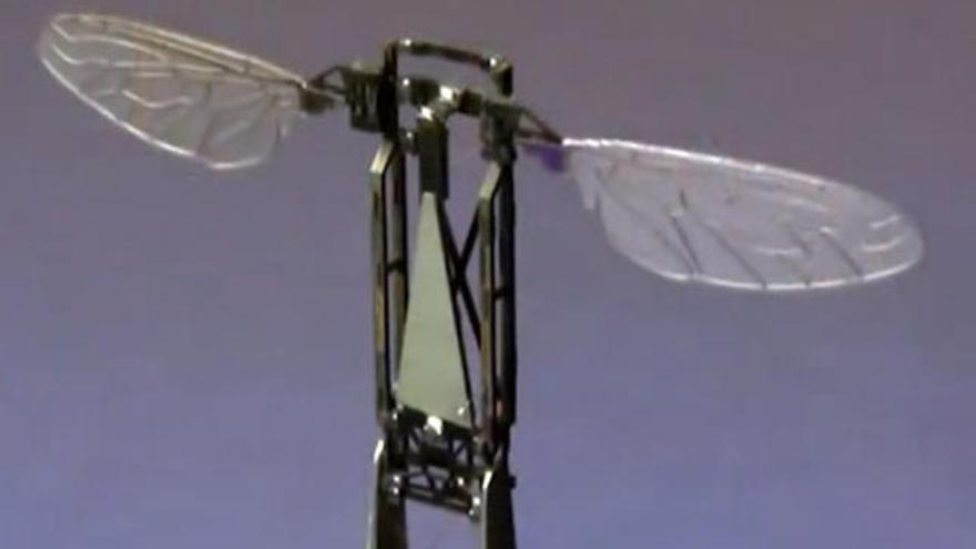 Crean un enjambre de "abejas-robot" para polinizar plantas