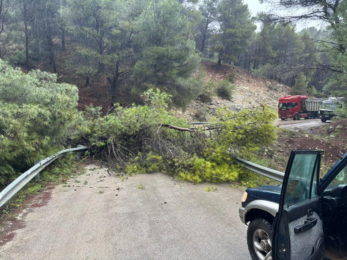 Desalojos en Málaga por la lluvia, que corta carreteras y suspende ...