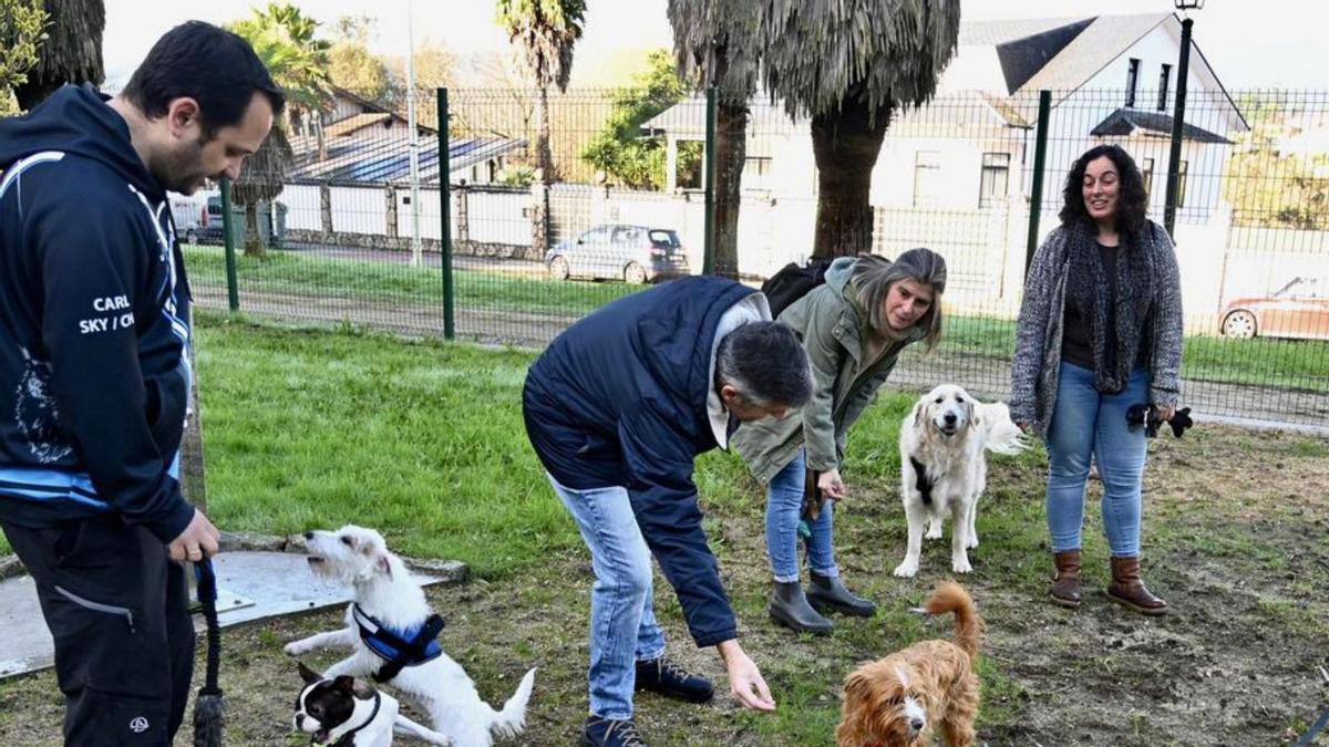 Ligar con correa: apps para dueños de perros y parques caninos de Vigo ...