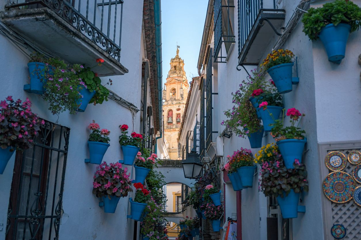 CALLE MÁS BONITA DE ESPAÑA | La calle más bonita del mundo está en España, tiene cientos de ...