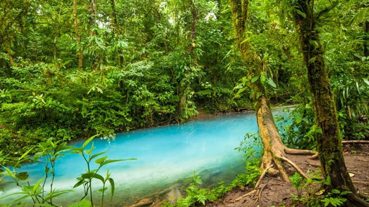 Ríos en los que disfrutar de una Costa Rica única - Viajar