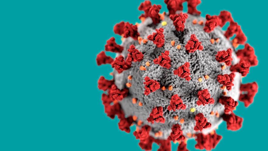 Los seis tipos de coronavirus y sus síntomas