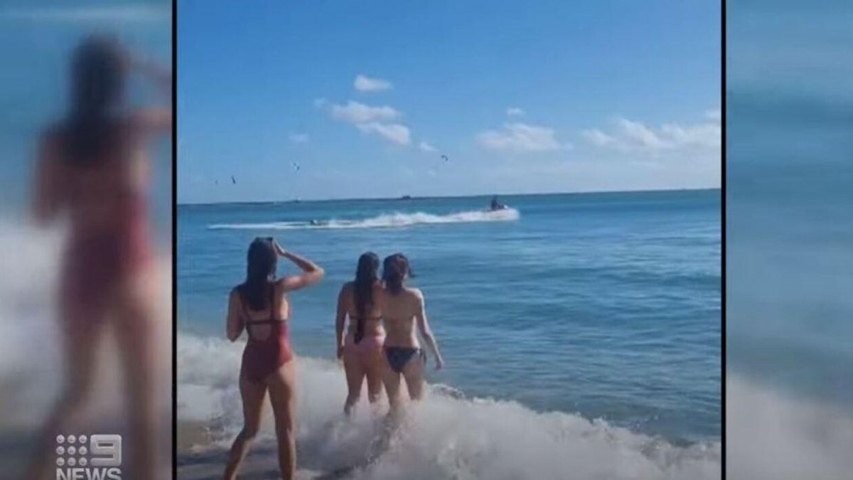 Un Turista Muere Devorado Por Un Tiburón Dos Días Después De Reabrirse