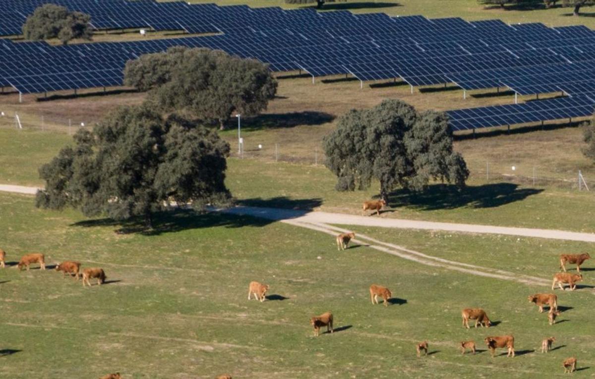 Las 200 medidas ambientales de Statkraft para preservar la ...
