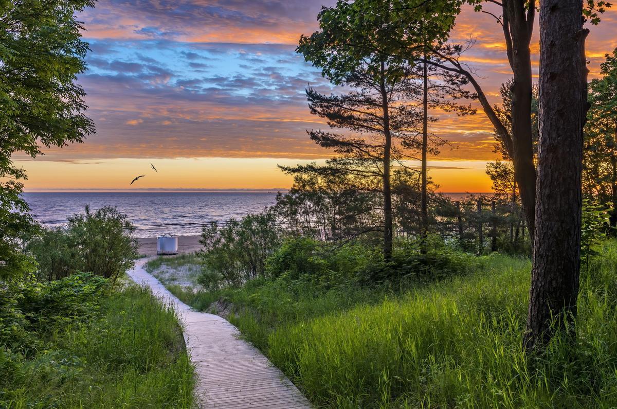 Explorando los países bálticos: seis experiencias que no te puedes ...