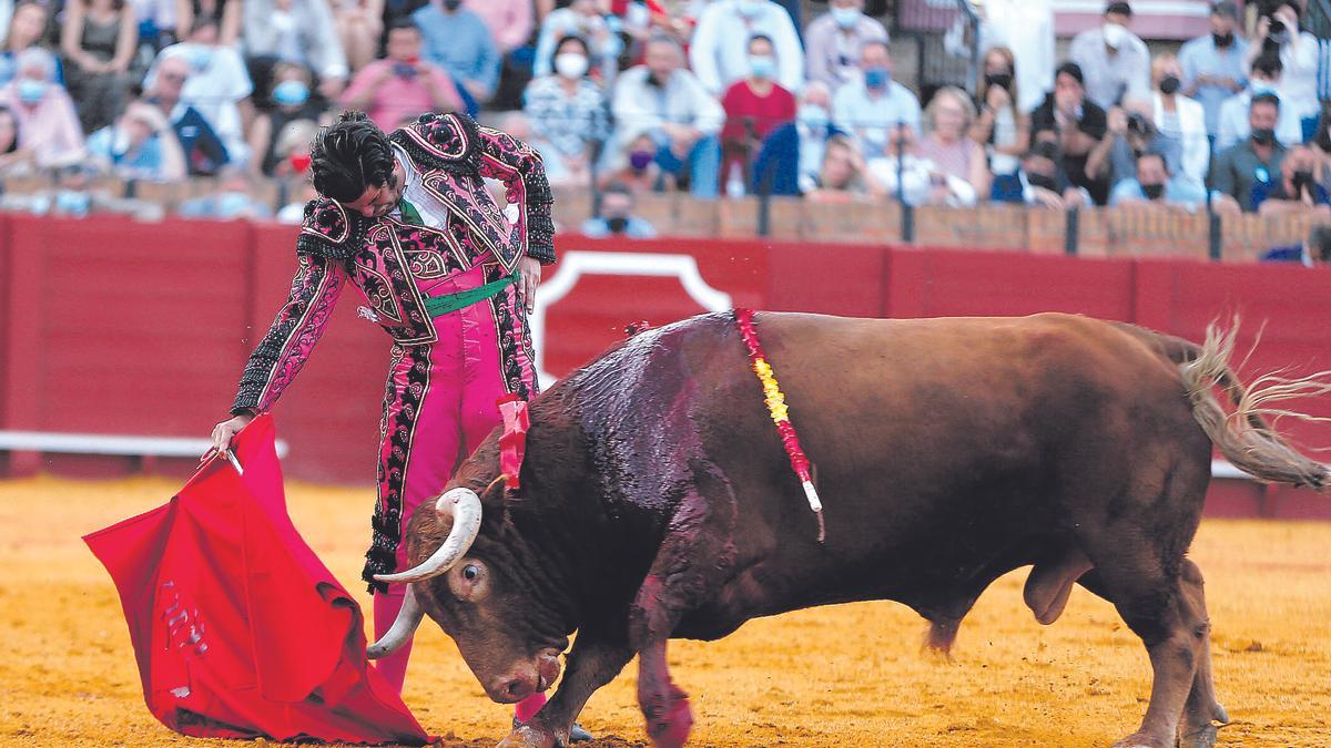 TOREO EN ESPAÑA | España no ha sido siempre taurina