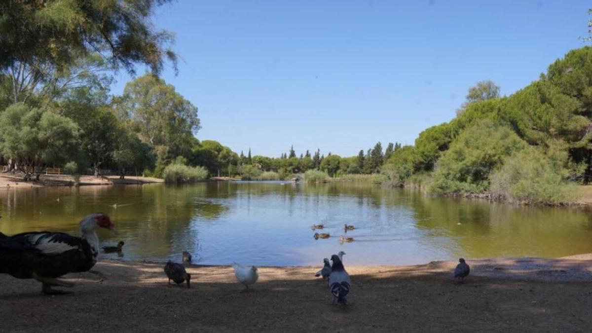 El parque de Sevilla con bosques, juegos y lagunas con patos perfecto ...