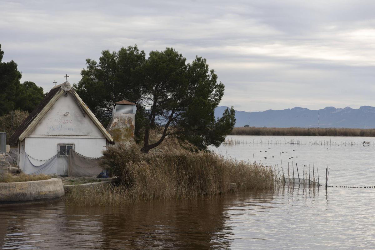 Acuerdo histórico de trece municipios para que l'Albufera sea Reserva ...