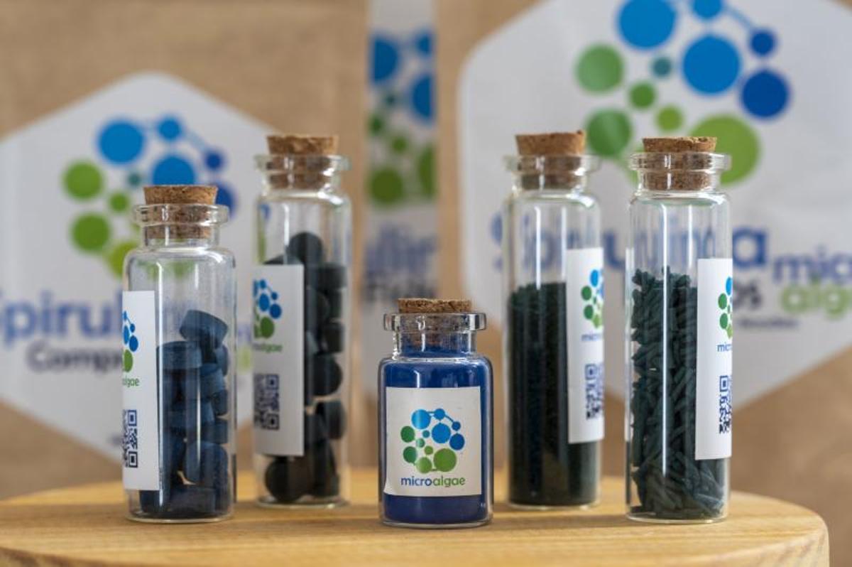 FOTOS | Microalgae Lab, la primera empresa en iniciarse en el cultivo ...