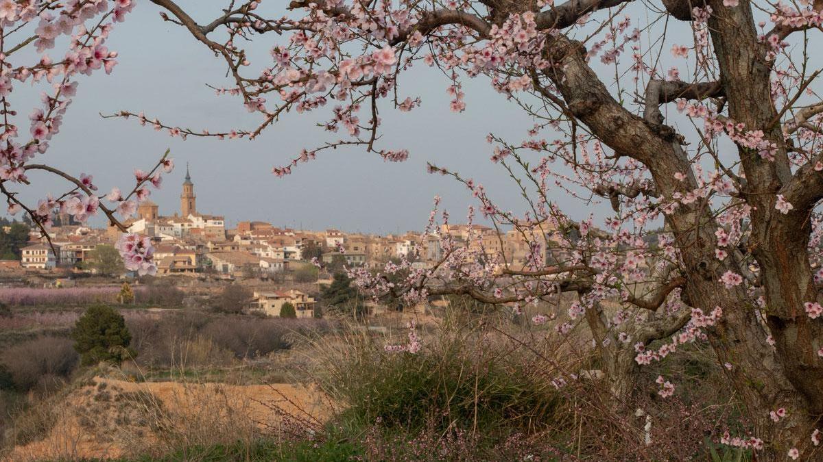 Calanda, tradición y cultura por bandera