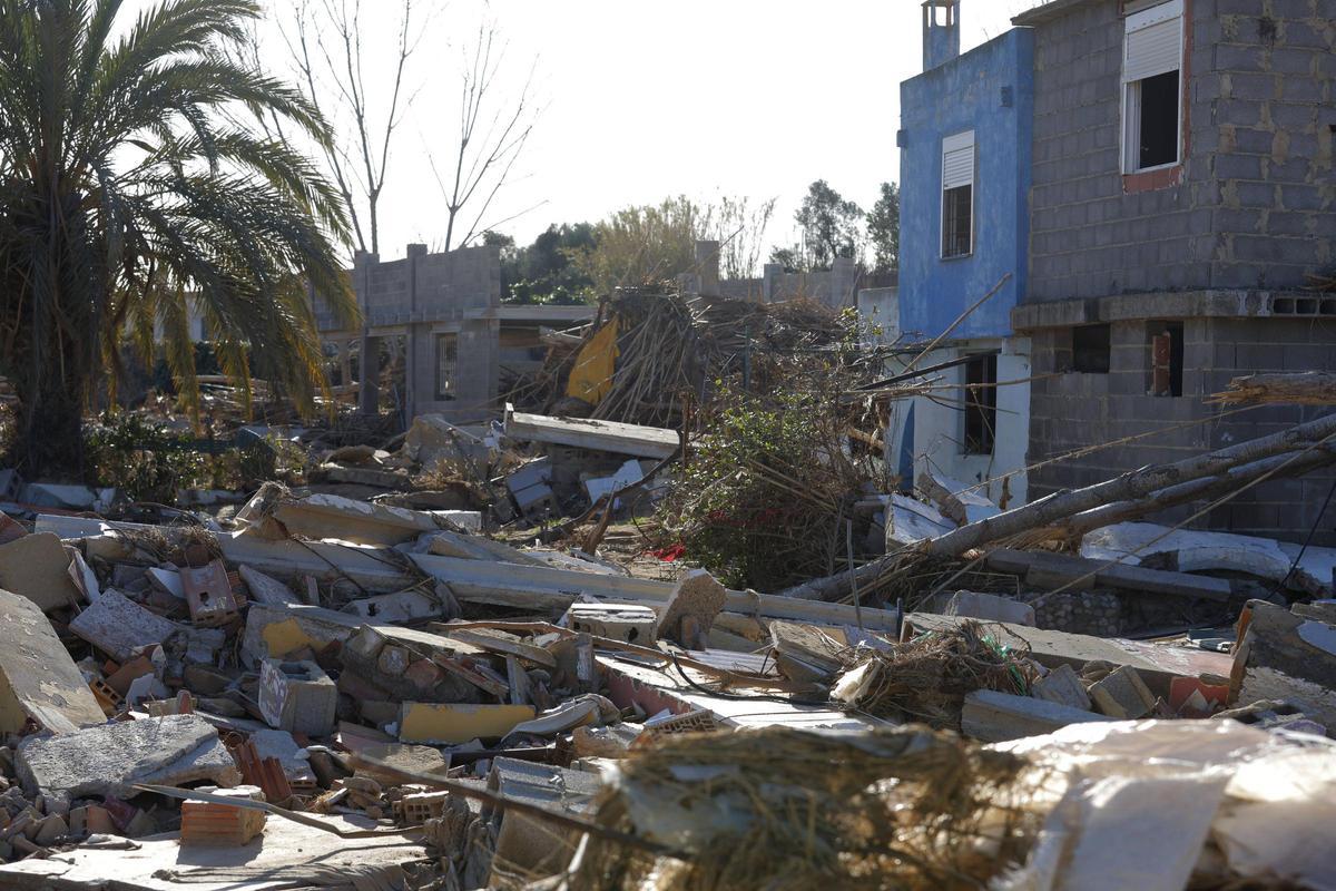 DANA VALENCIA: El Túria arrasa con varias parcelas de Manises que ...