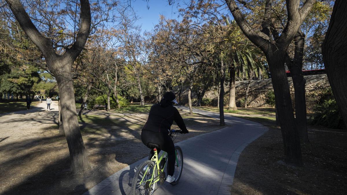 València. Una exposición muestra cómo se transformó el Jardín del Turia