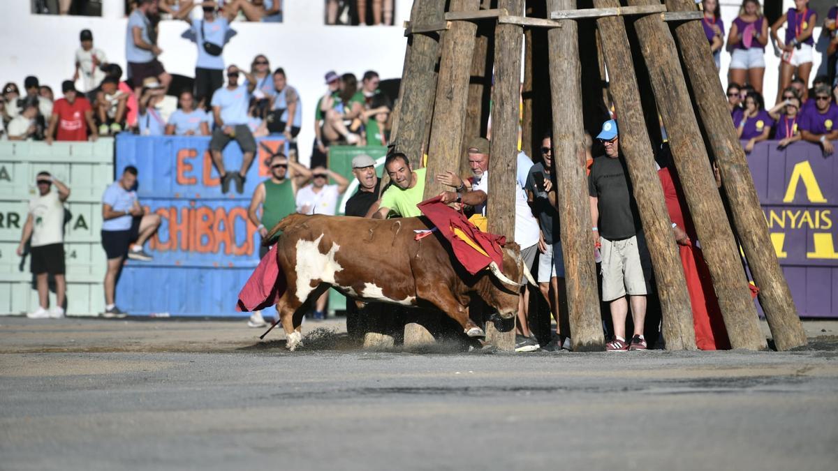 TOROS | El toro de Garrovillas ya corre por el ruedo