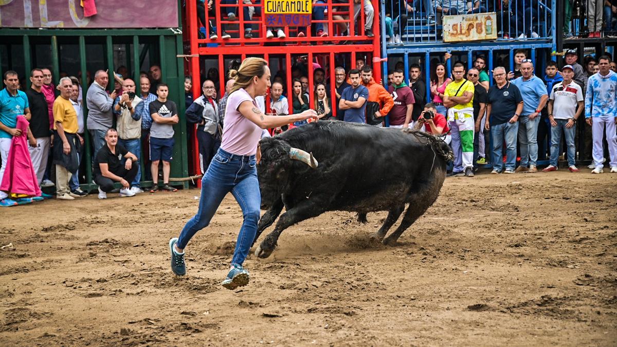 BOUS AL CARRER: "Los toros no van a dejar de ser cultura porque lo diga ...