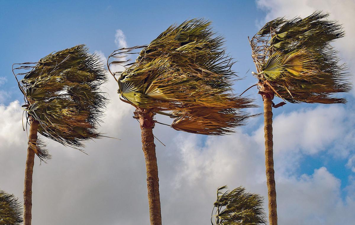 Tiempo Murcia | Tres días de viento fuerte ponen en aviso amarillo a ...
