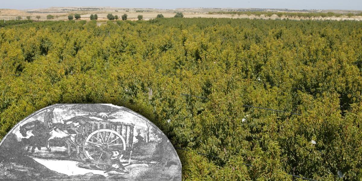 ¿Sabías que el 'Milagro de Calanda' nace en Castellón?