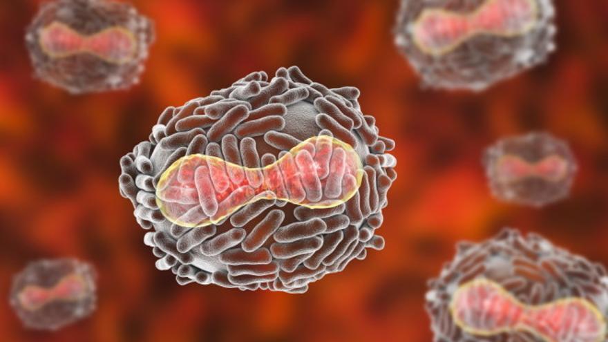 Los cinco virus más mortales de la historia