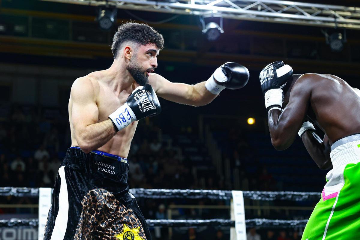 BOXEO JOSE LUIS NAVARRO EL CAZADOR EUROPEO SILVER | El cordobés peleará ...
