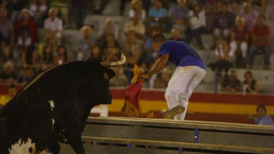 El toro que se convirtió en ratón ...