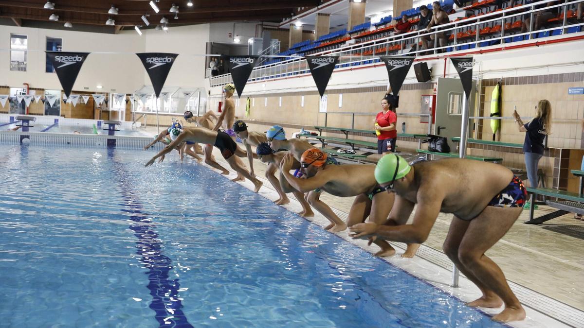 Estos son los cursillos que ofrece el Club de Natación Santa Olaya: las ...