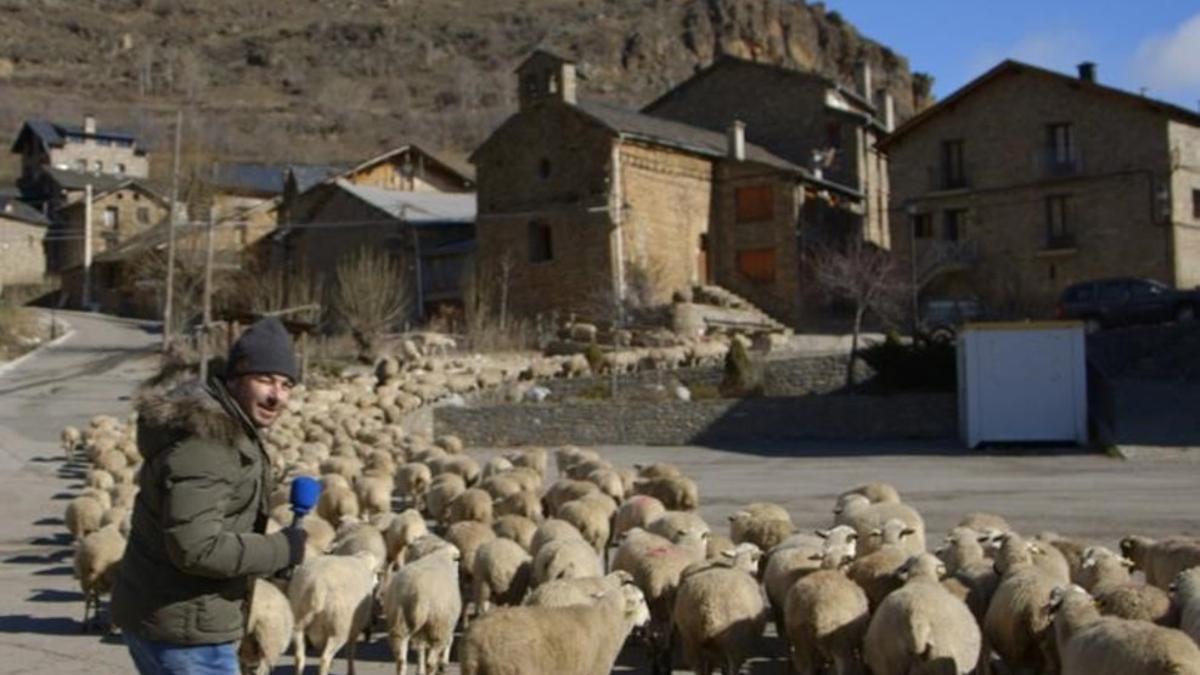 'El foraster' y 'El Príncipe' se reparten el día