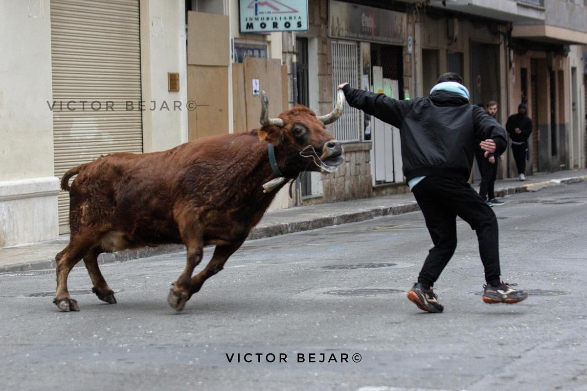 El Sant Antoni taurino confirma su tirón en Sagunt
