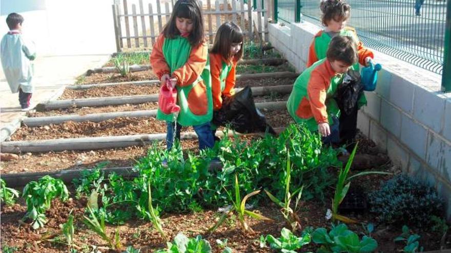 El colegio de Son Basca expone su novedoso sistema educativo