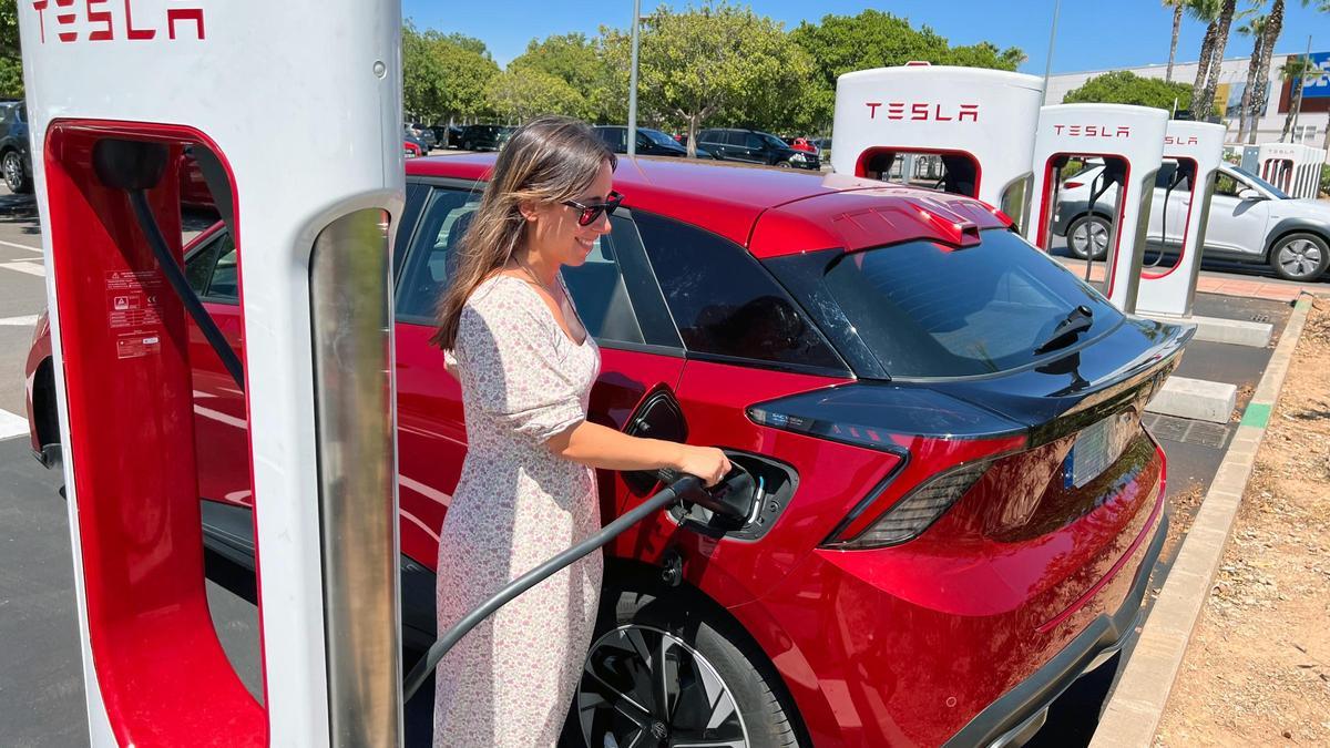 Bonaire inaugura la estación de Supercargadores Tesla más grande de ...