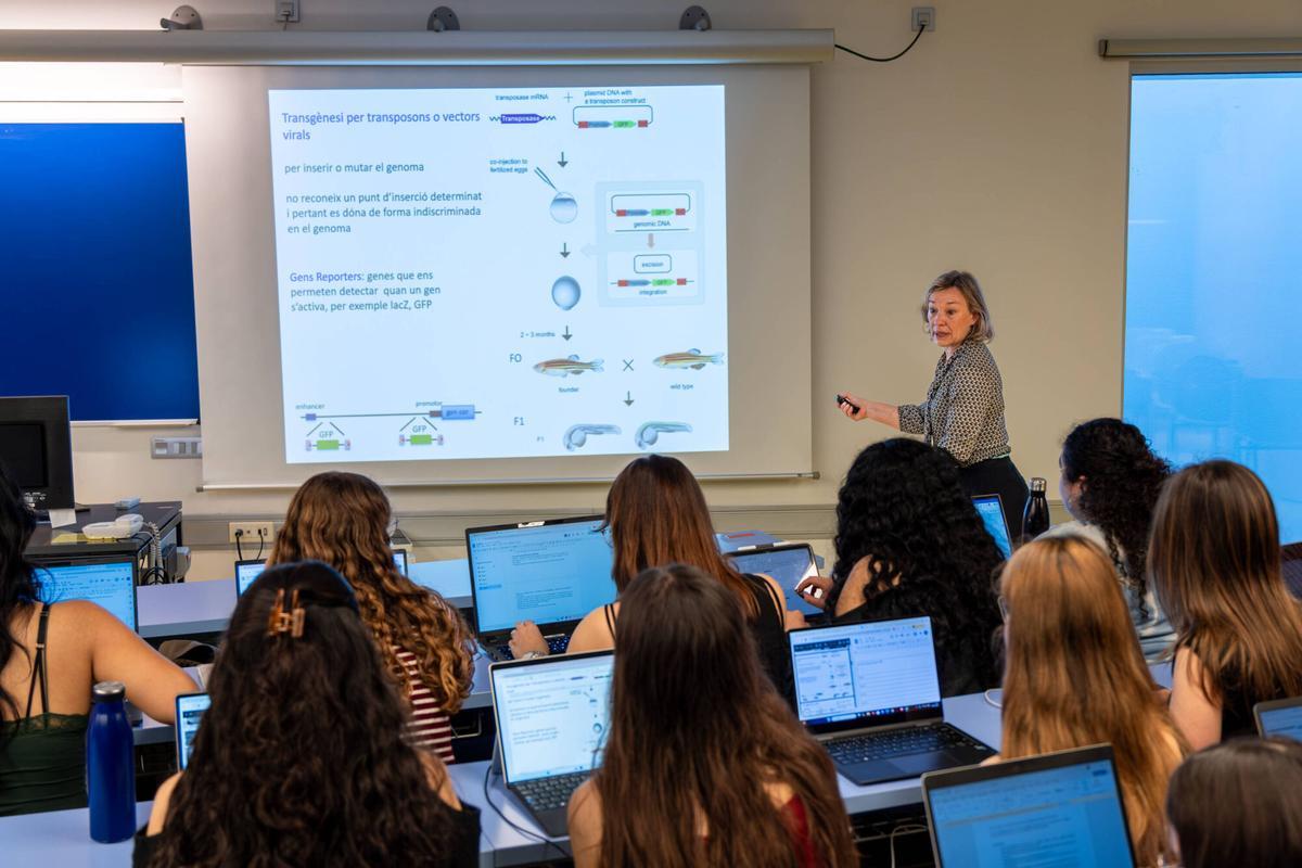 EDUCACIÓN | https://www.elperiodico.com/es/sociedad/20260418/aumentan ...