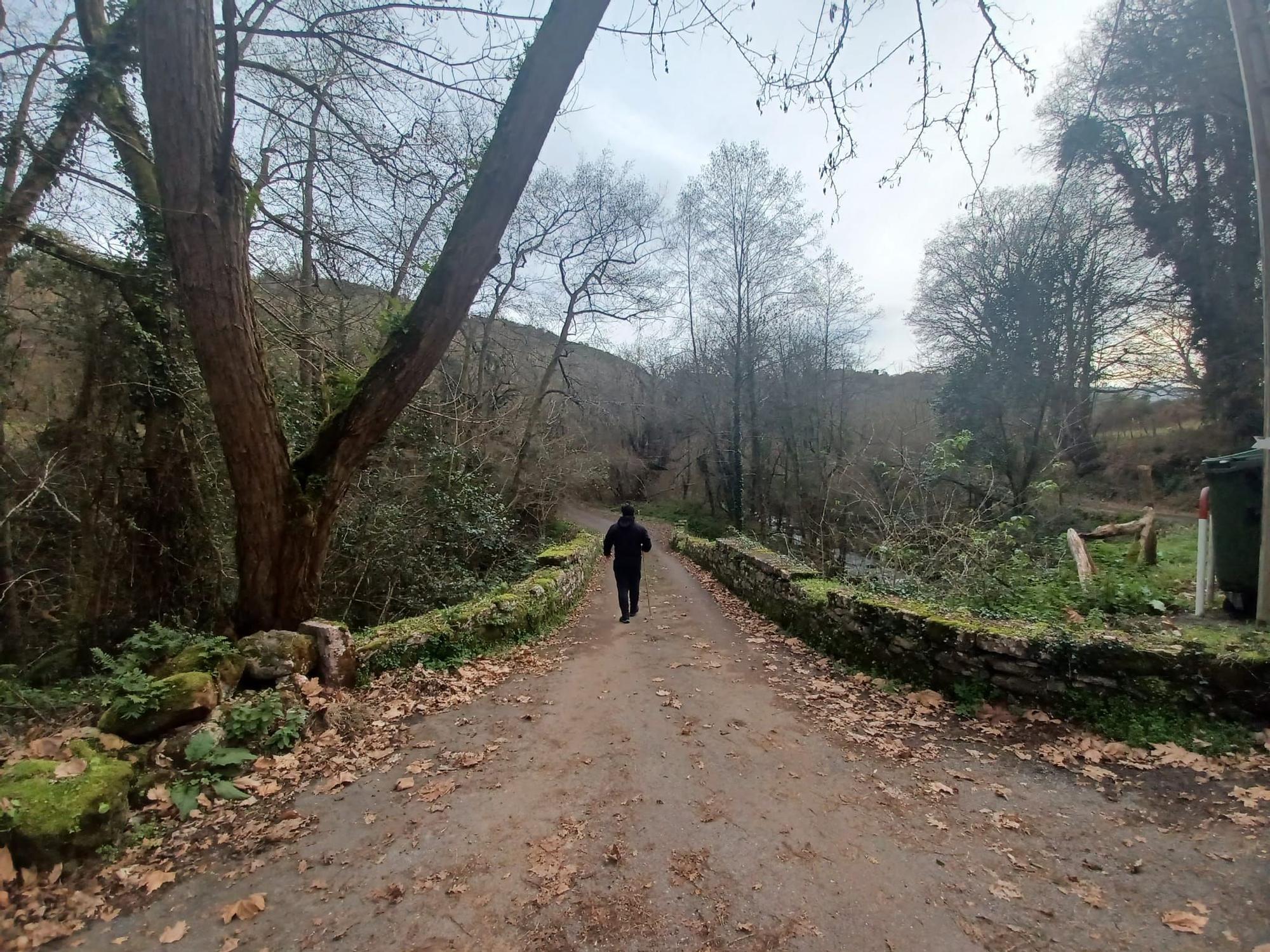 La ruta del bosque viejo de Báscones, un baño de historia y naturaleza ...