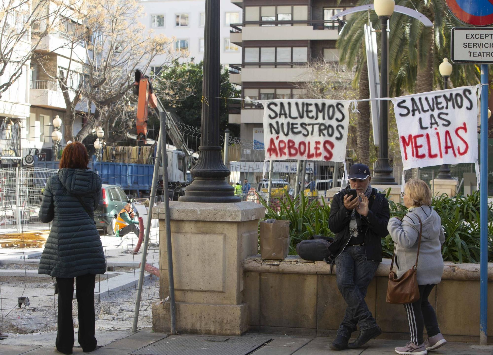 Podan las melias de la Avenida de la Constitución