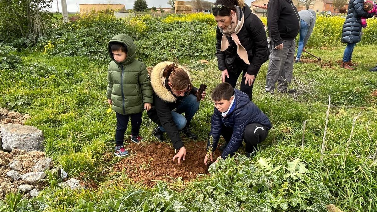Niños "echan raíces" en el municipio de Castronuevo de los Arcos en Zamora