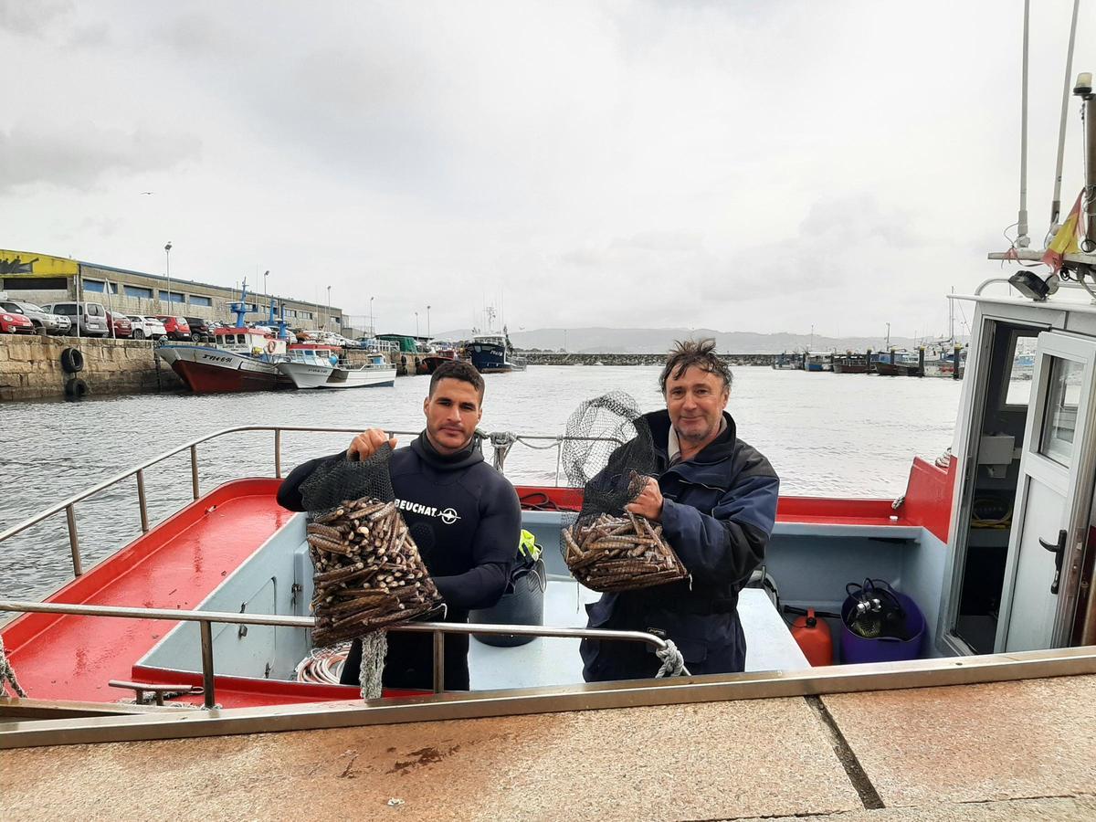 LAS NAVAJAS DE CÍES: La navaja de Cíes explora nuevos paladares