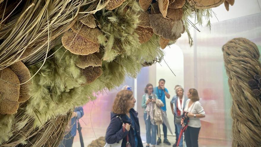 FESTIVAL FLORA CÓRDOBA 2022 | Flora 2022 abre bajo la lluvia FESTIVAL FLORA CÓRDOBA 2022 | Flora 2022 abre bajo la lluvia