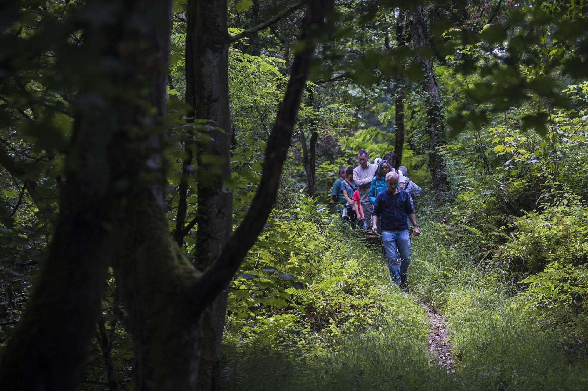 En imágenes: La Zoreda, un bosque "animado" para viajar en el tiempo