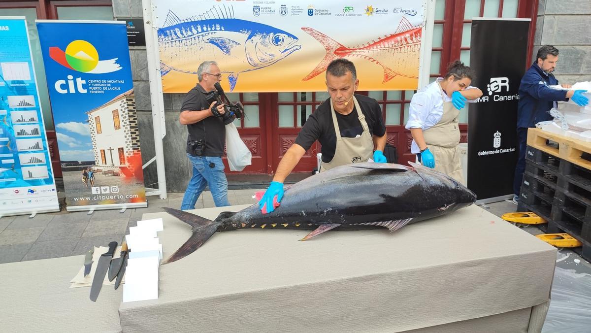 Puerto de la Cruz enseña a despiezar un atún de 100 kilos