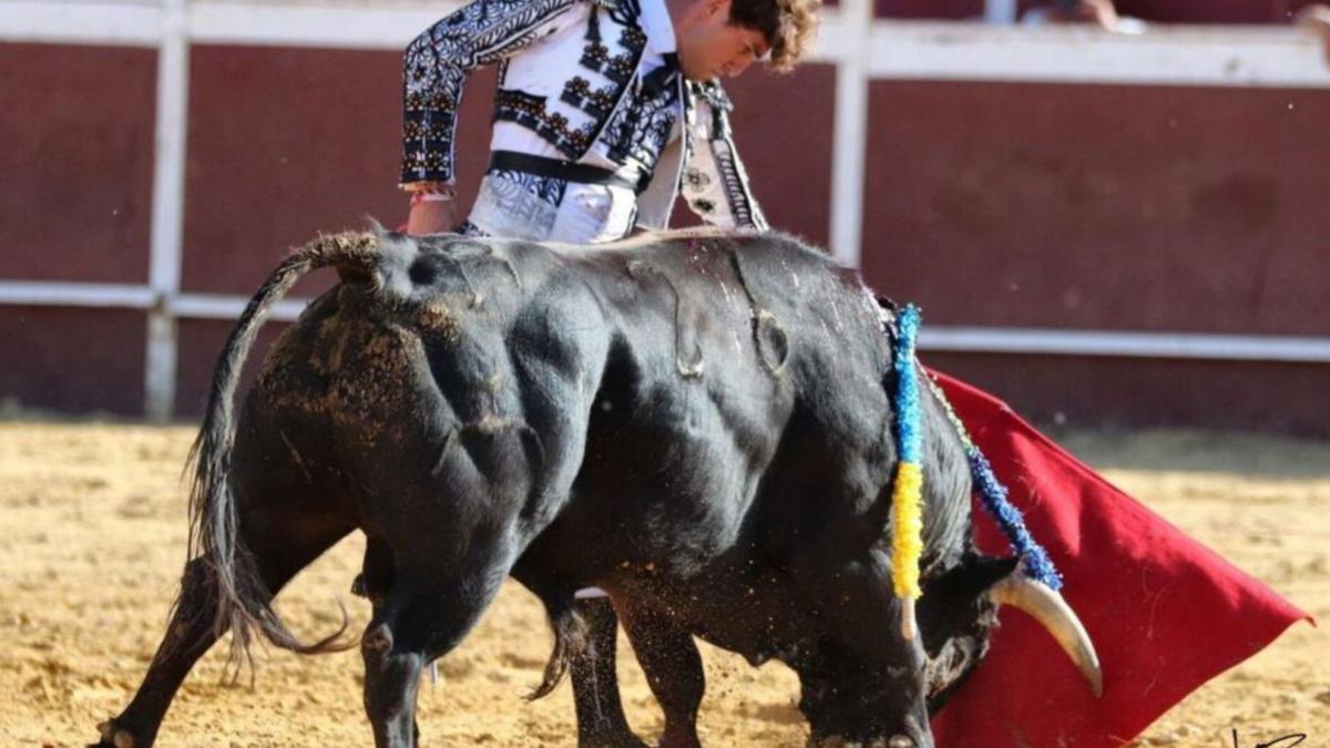 TOROS EN LA FERIA DE MÁLAGA I Dos matadores, un rejoneador y un ...