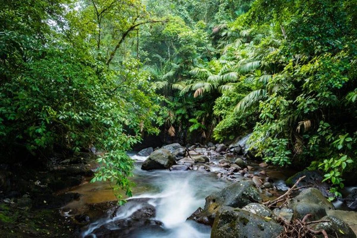 Ríos en los que disfrutar de una Costa Rica única - Viajar