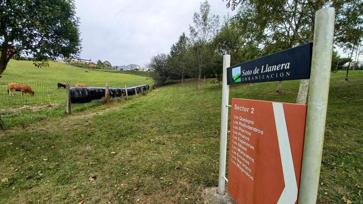 En imágenes: así es la parroquia de Pruvia, paraíso residencial y ...
