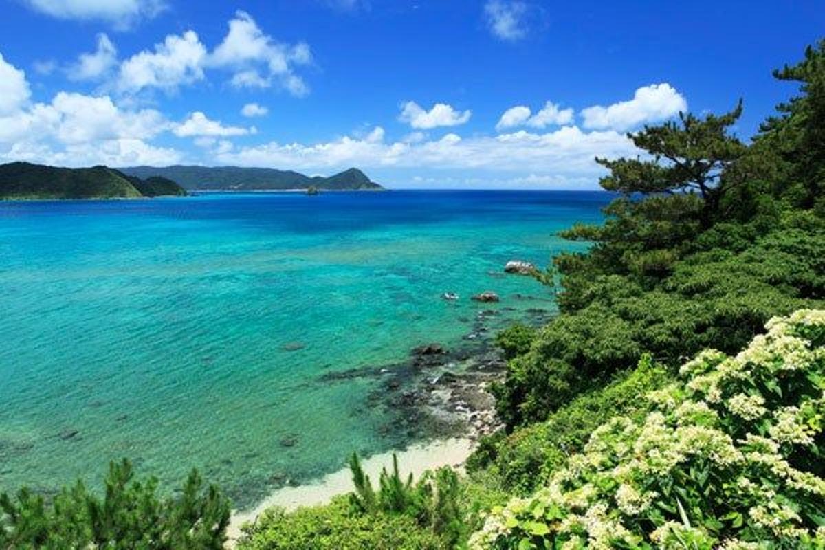 Paisajes de verano - Viajar