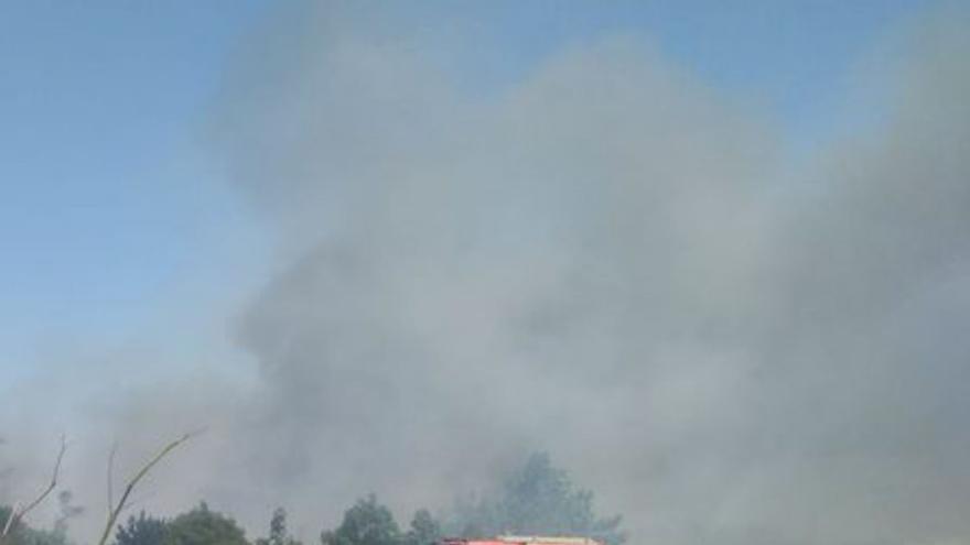 Un incendio originado en un vertedero prende vegetación junto al Riu ...