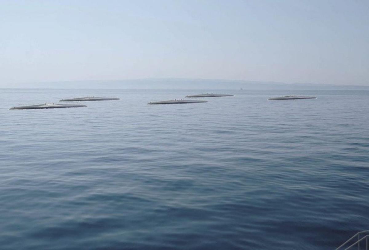 Magallanes perfila su futuro con su nueva plataforma y un ojo puesto en ...